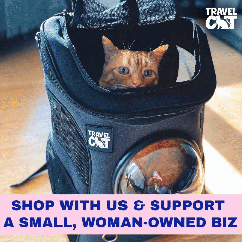 GIF by Your Cat Backpack Travel Cat - Find & Share on GIPHY