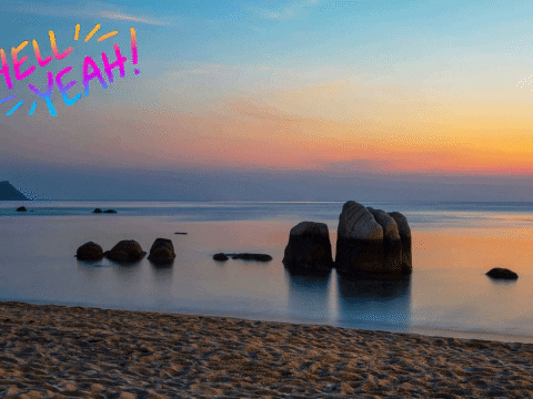 Html Code GIFs - Get the best GIF on GIPHY