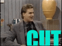 Joey Full House Cut It Out