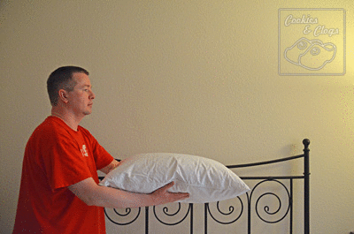 Meh: Amy Miller 2-Pack 17" Sequin Pillows