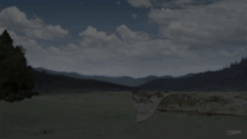 Visual Effects Film GIF by ActionVFX - Find & Share on GIPHY