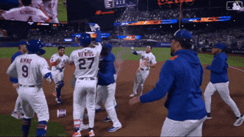 New York Mets GIFs on GIPHY - Be Animated