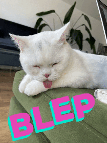 Funny Cat Tumblr Gif