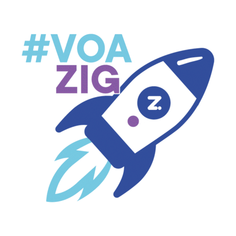 Zig The Global Funtech GIF - Find & Share on GIPHY