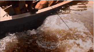 Troy Landry Alligator GIF by Swamp People - Find & Share on GIPHY