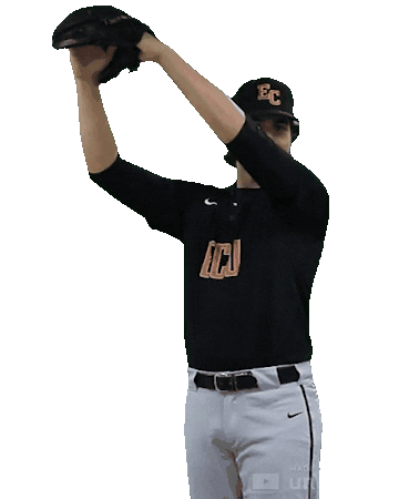 Baseball GIFs on GIPHY - Be Animated