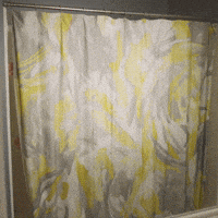 Shampooing GIFs - Get the best GIF on GIPHY