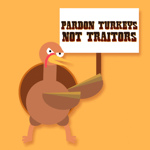 Turkey Gif