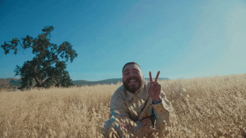 I Like You A Happier Song GIFs - Get the best GIF on GIPHY