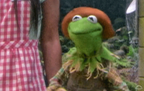 Muppet Wiki GIFs on GIPHY - Be Animated