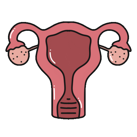 Body Anatomy Sticker for iOS & Android | GIPHY
