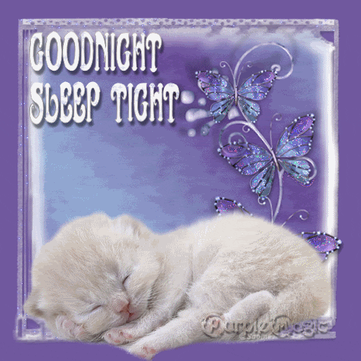 Good Night Everyone GIFs - Get the best GIF on GIPHY