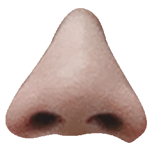 Five senses puzzle GIFs on GIPHY - Be Animated