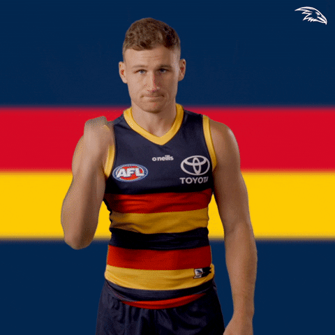 Afl Yes GIF by Adelaide Crows - Find & Share on GIPHY