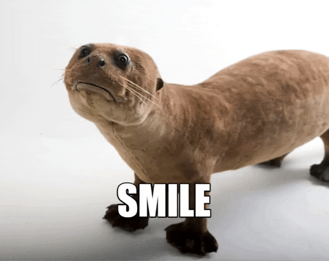 Sad-otter GIFs - Get the best GIF on GIPHY
