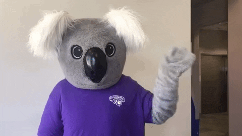 Koala Waving GIFs - Get the best GIF on GIPHY
