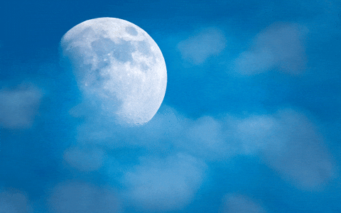 Jump Moon GIF - Find & Share on GIPHY