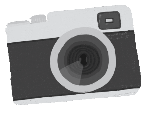 Camera Flash Animated Gif