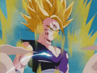 Dragon Ball Z Fusion GIF