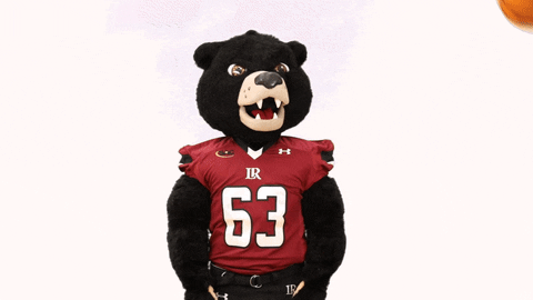 Lenoirrhyne Joebear GIF by Lenoir-Rhyne University - Find & Share on GIPHY