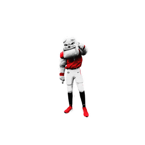 Uga Go Dawgs Sticker by University of Georgia for iOS & Android | GIPHY