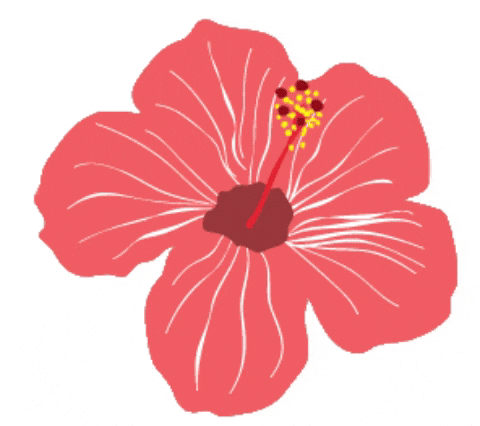 Greenteaeveryday Hibiscus GIFs - Get the best GIF on GIPHY
