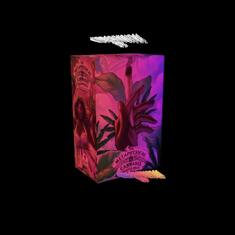 Oracle Deck GIFs - Get the best GIF on GIPHY