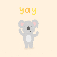 Dancing Koala Gif