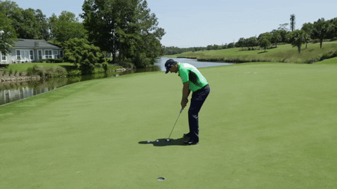 GIF by Wilson Golf - Find & Share on GIPHY