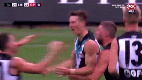 2019 AFL GIFs by AFL | GIPHY