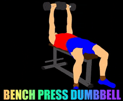 Bench-press GIFs - Get the best GIF on GIPHY