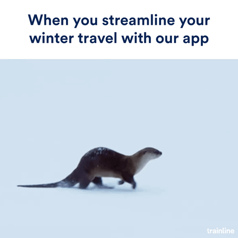 Trainline App GIFs - Get the best GIF on GIPHY