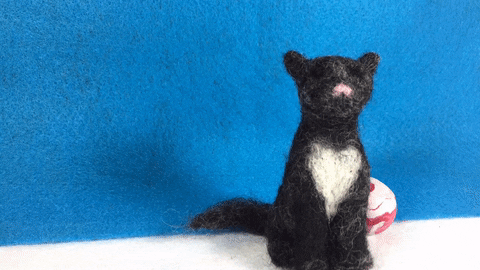 Felted Pets GIFs - Get the best GIF on GIPHY