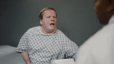 Fat-bee GIFs - Get the best GIF on GIPHY