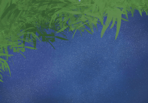 Good Night Water GIF by AuroraDraws - Find & Share on GIPHY