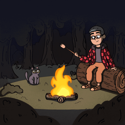 Camping GIF - Find & Share on GIPHY