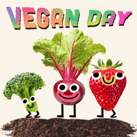 World-vegan-day GIFs - Get the best GIF on GIPHY