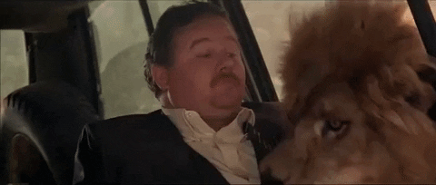 Shimazaki-rino GIFs - Get the best GIF on GIPHY