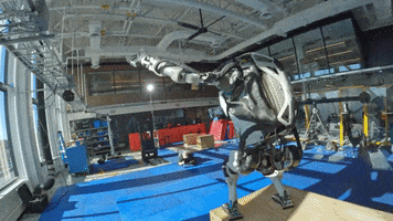 Atlas | Boston Dynamics GIFs on GIPHY - Be Animated