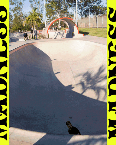 Extremely-foolish-behavior GIFs - Get the best GIF on GIPHY