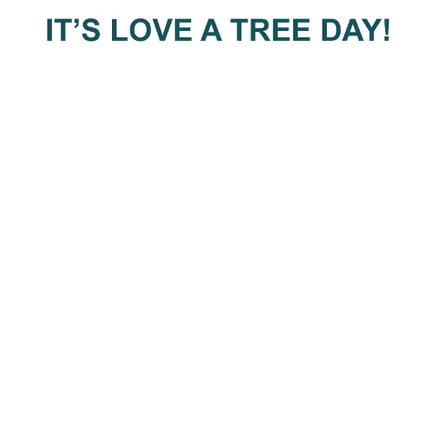 Love-a-tree-day GIFs - Get the best GIF on GIPHY