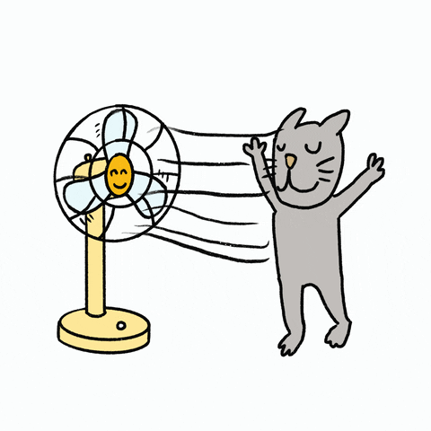 Fan Cat GIFs - Get the best GIF on GIPHY