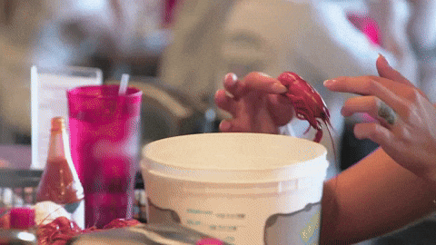 Crawfish Omelet GIFs - Get the best GIF on GIPHY