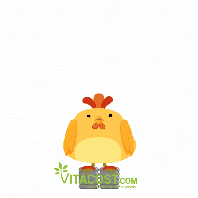 Spring Chicken GIFs - Find & Share on GIPHY