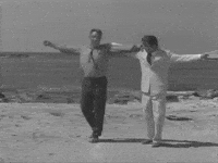 Zorba The Greek GIFs - Find & Share on GIPHY