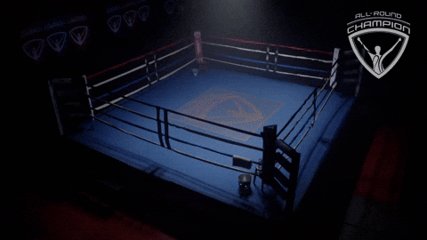 All-Round Champion GIF - Find & Share on GIPHY