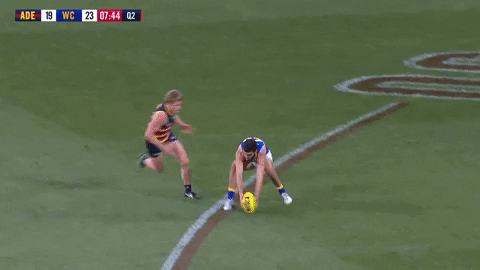 Round 15 Afl GIF by Adelaide Crows - Find & Share on GIPHY