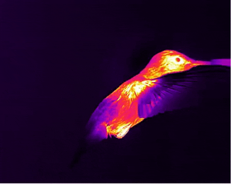 Glow Colors GIFs - Get the best GIF on GIPHY