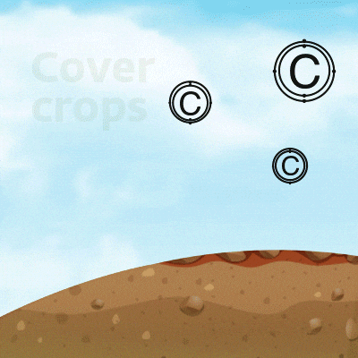 Conscious Planet - Save Soil GIFs on GIPHY - Be Animated