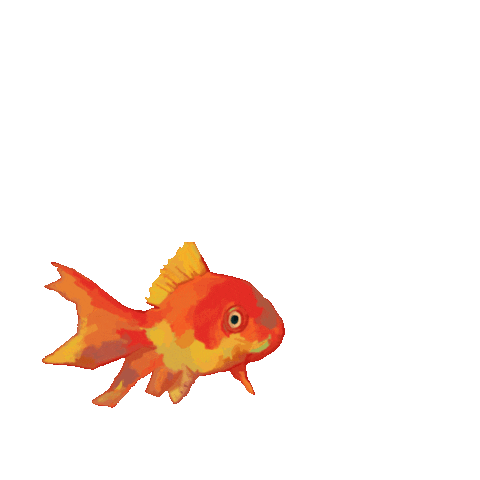 Swimming Fish Gif